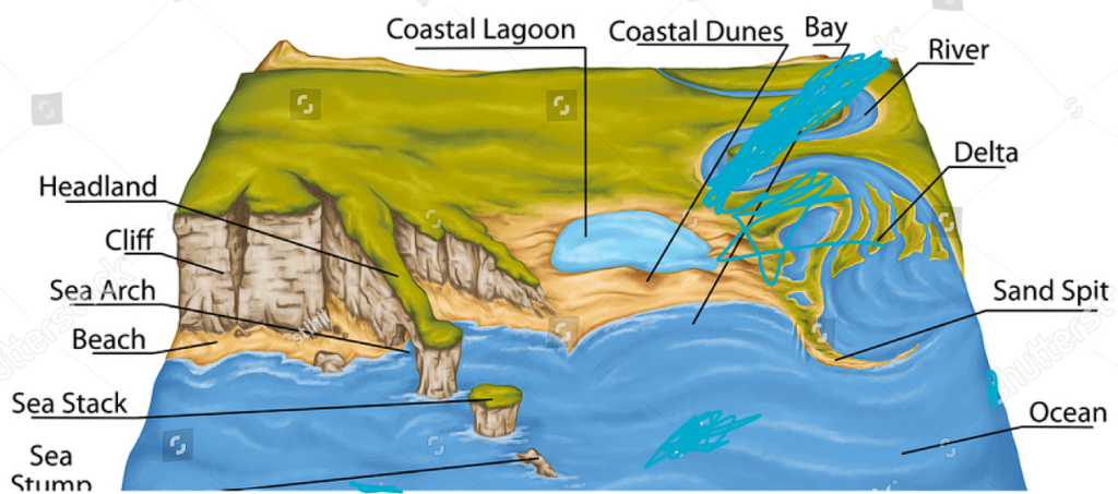 Coastal Landforms: Erosion, Deposition & Features