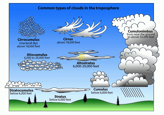 Clouds: Types, Formation & Climate Role Explained