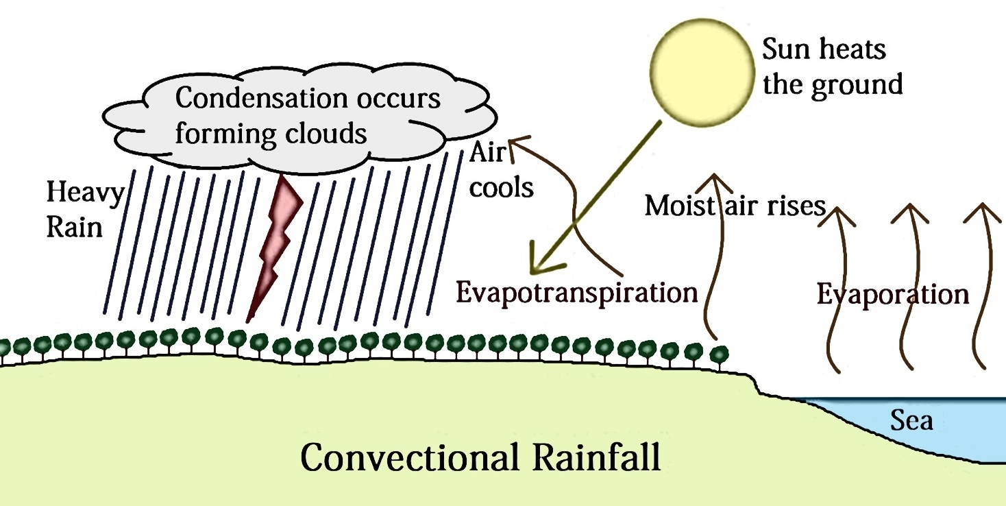 Precipitation: Types, Formation & Rainfall Methods