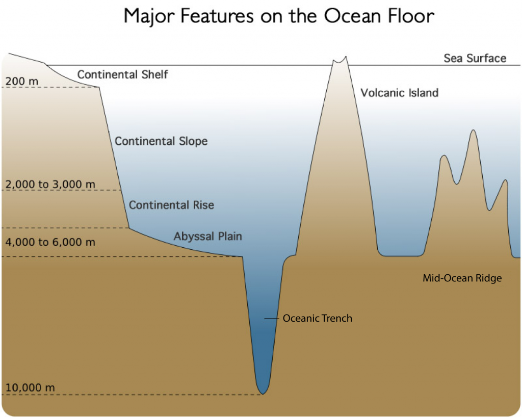 Ocean Relief Features & Their Global Importance