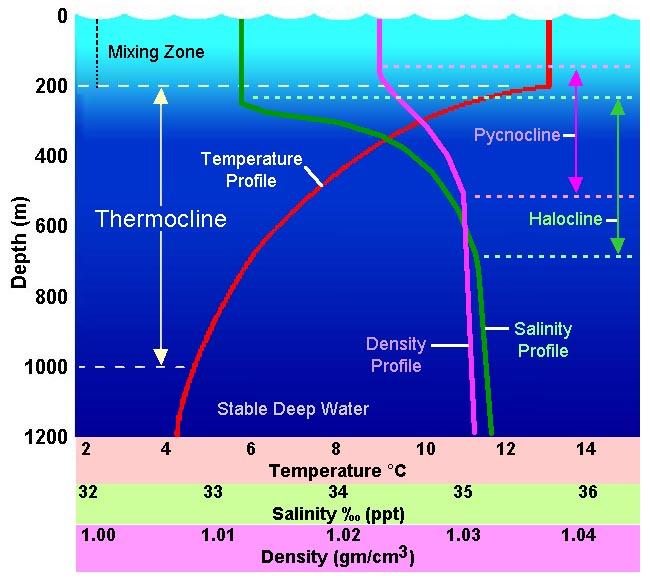 Ocean Salinity: Meaning, Factors & Distribution