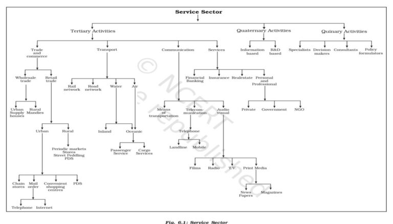 Role of Tertiary, Quaternary & Quinary Sectors