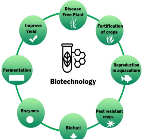 What Is Biotechnology? Fun Tools & Uses Explained
